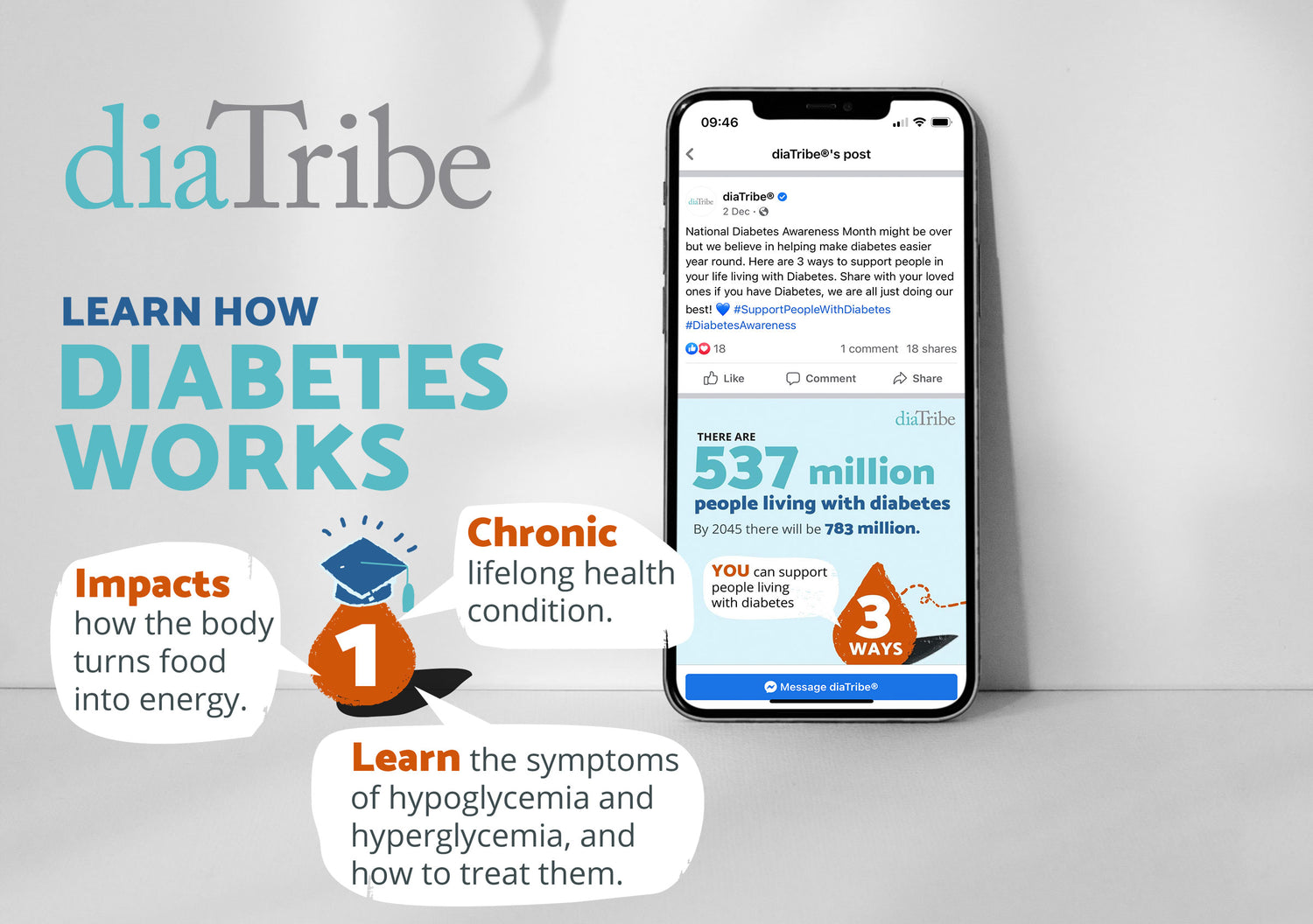 Learn how diabetes works - design project with diaTribe – The Diabetic ...